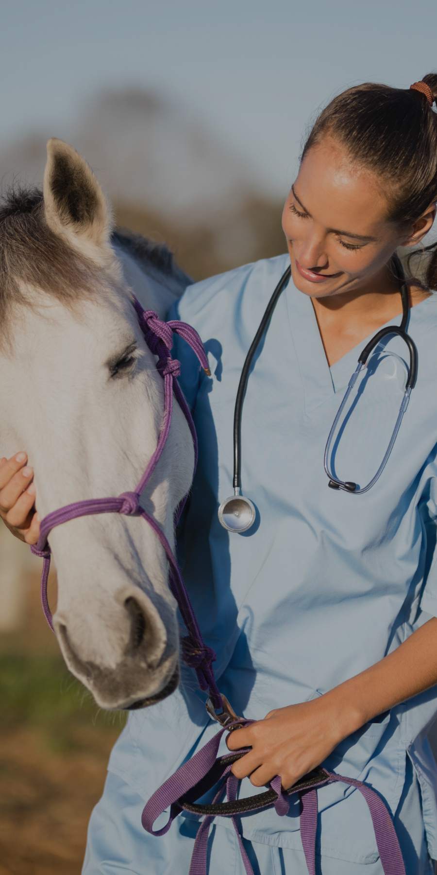 Revolutionary Technology for Animal Derm and Woundcare | Zarasyl